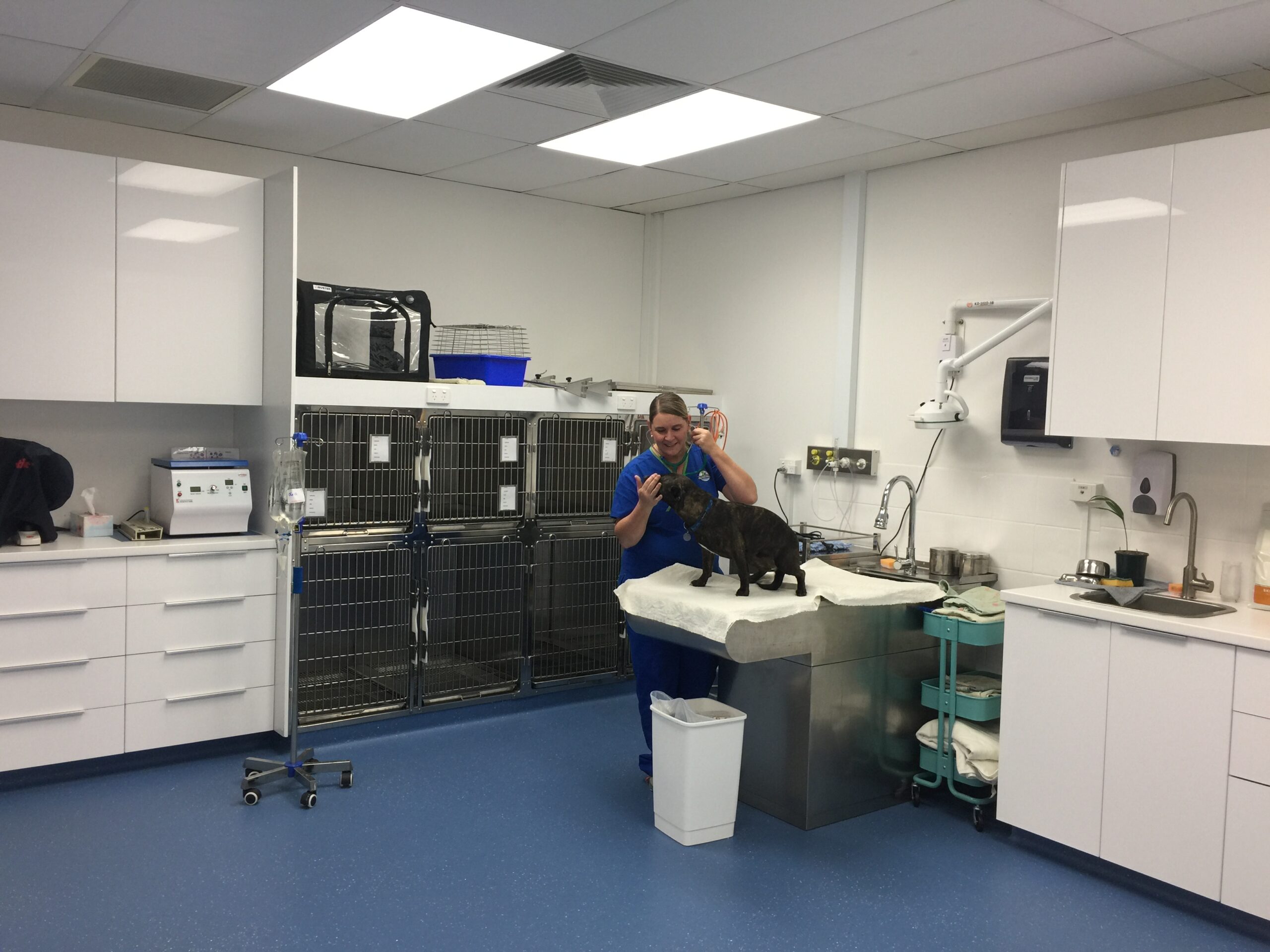 Vet Reproduction Services Perth | The Pet Practice