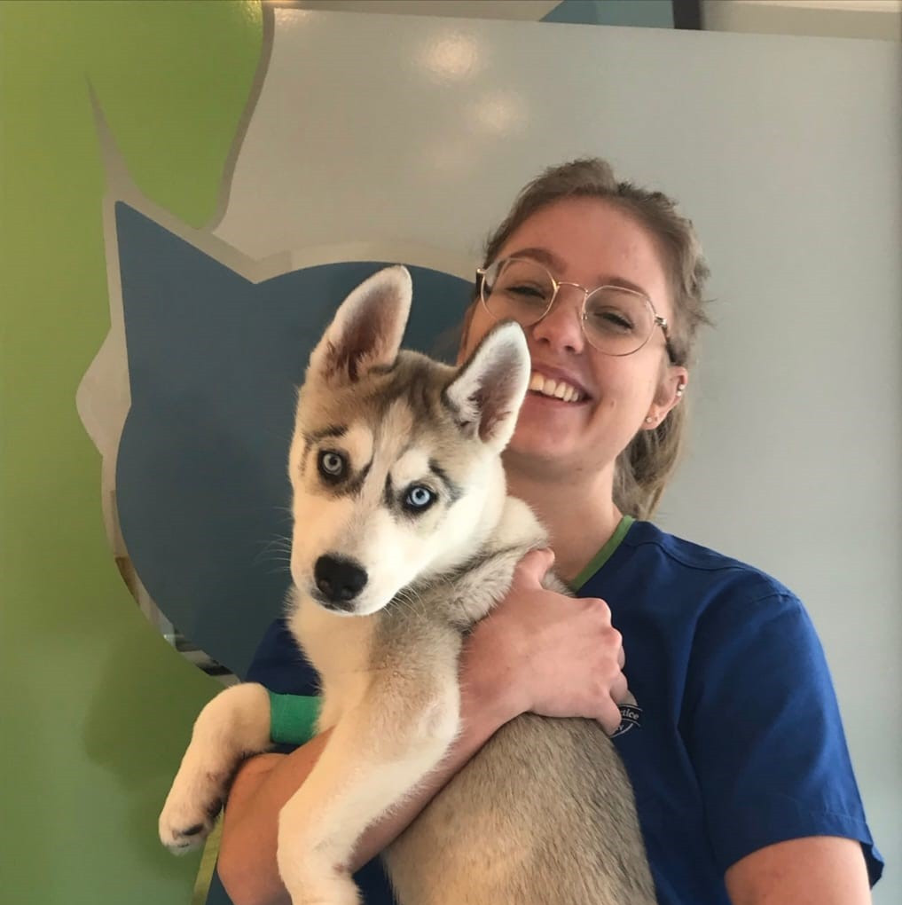 Our Team | Vets and Nurses | The Pet Practice Veterinary Clinic