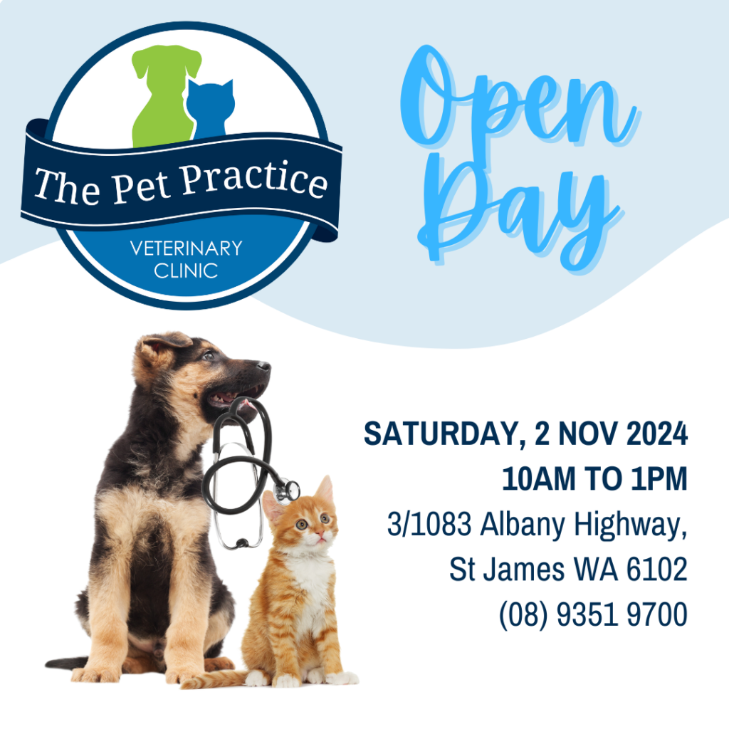 Vet South Perth | Local Perth Veterinary Clinic | The Pet Practice